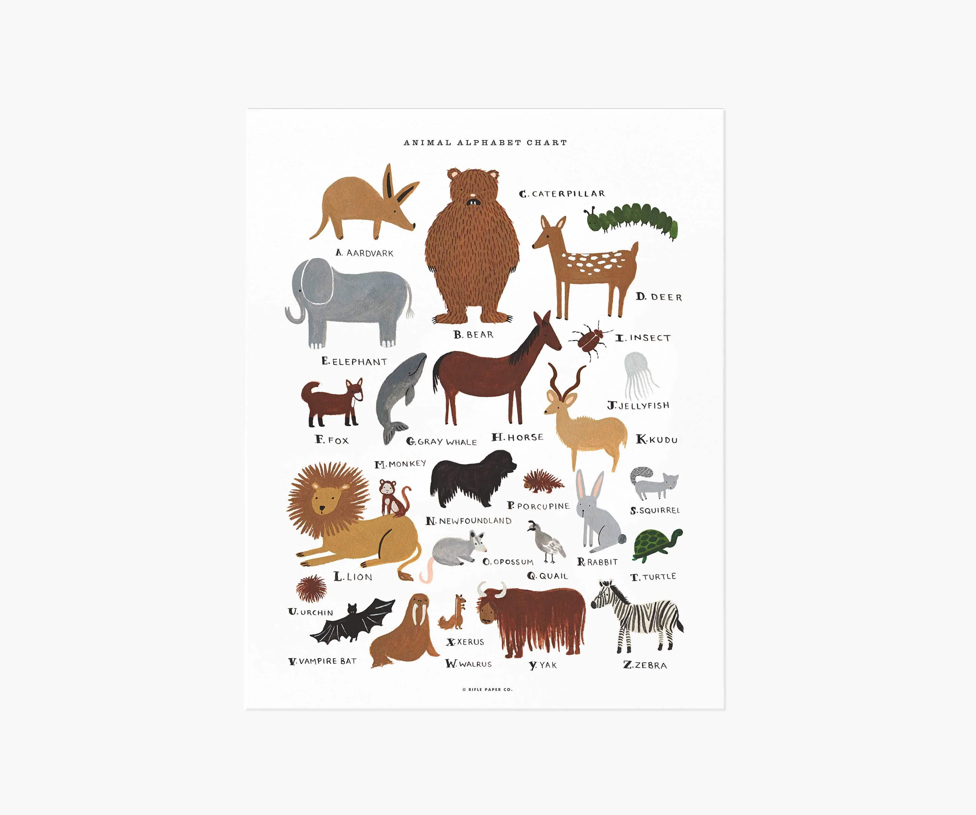 Animal Alphabet Chart Art Print - Rifle Paper Co.